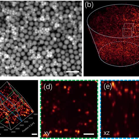 3d Imaging Of The Whole Emulsion With Discerning Single Droplet A Download Scientific