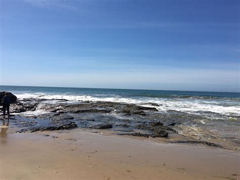 Dorie Weber Applevac