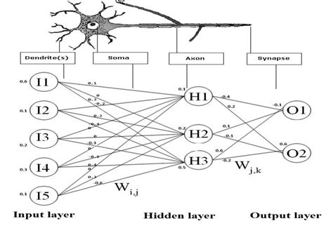 Weights Of Network Back Propagation Download Scientific Diagram