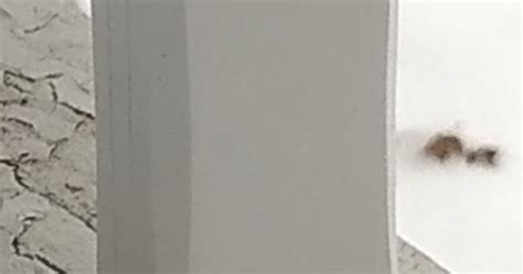 Outdoor Sensor Support Raddy By Eugène R Download Free Stl Model