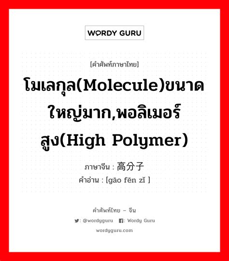 โมเลกุล Molecule ขนาดใหญ่มาก พอลิเมอร์สูง High Polymer ภาษาจีนคืออะไร