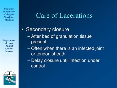 PPT Lacerations And Penetrating Wounds PowerPoint Presentation Free Download ID 474709