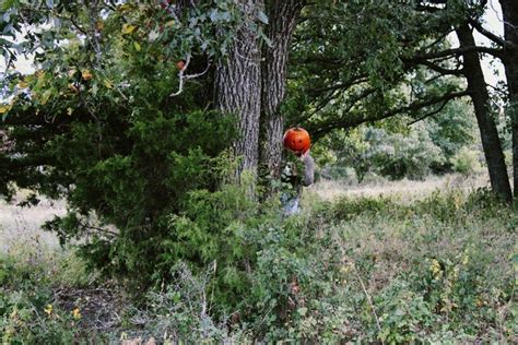 Pin Di Lexi Su Pumpkin Shoot