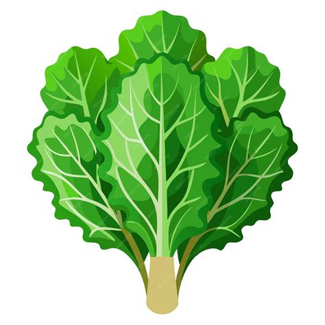 Kale Clipart Cartoon Style Vector Illustration Premium Ai Generated