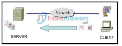 CCNA 1 Exploration V4 0 Chapter 3 Quiz Answers