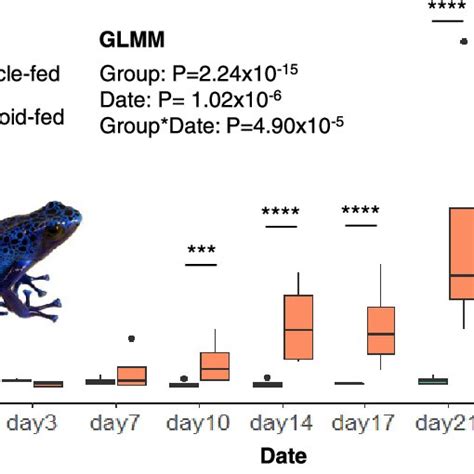 Optimization Of The Masspec Pen Platform For The Detection Of