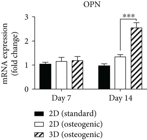 western blot analysis was used to determine the expression of col i