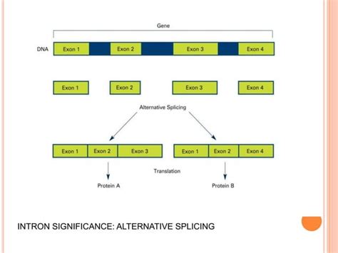 Fine Structure Of Gene Pptx