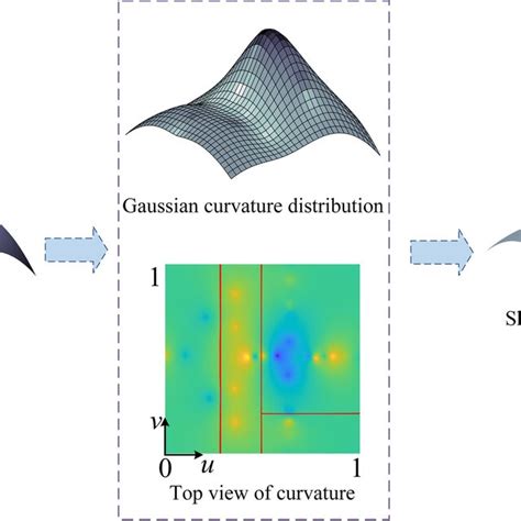 Example Of Complex Surface Area Division Download Scientific Diagram