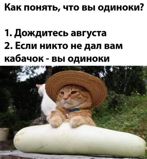 Лучшие шутки и мемы про кабачки: подборка - 26 августа 2023 - 116.ru