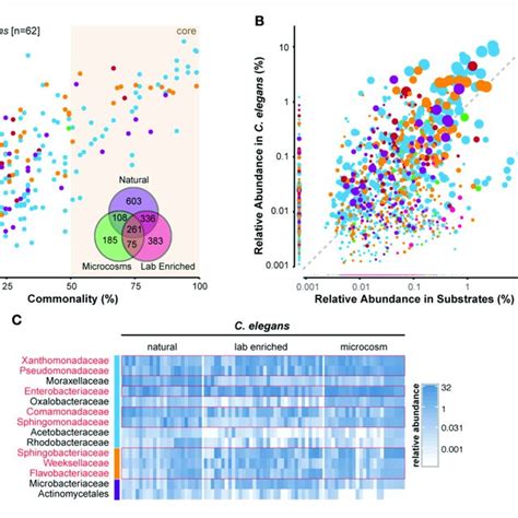 Identification Of A Core Microbiome Of C Elegans A Scatterplot Of