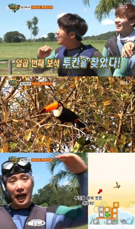 정글의법칙 브라질 국조 투칸 발견 캐릭터같은 귀여운 외모