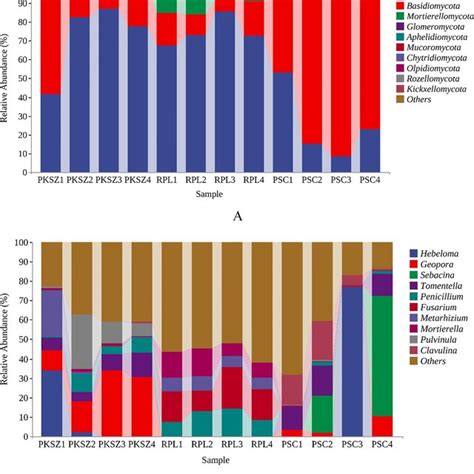 Ectomycorrhizal Fungal Community Diversity Among Different Samples Download Scientific Diagram
