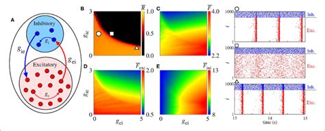 A Schematic Representation Of A Neural Network With A Mix Of Download Scientific Diagram