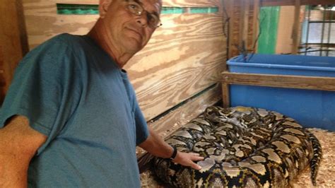 World Record Reticulated Python