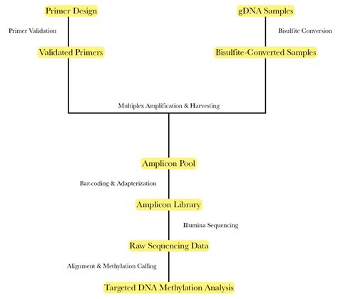 Targeted Bisulfite Sequencing Service Zymo Research