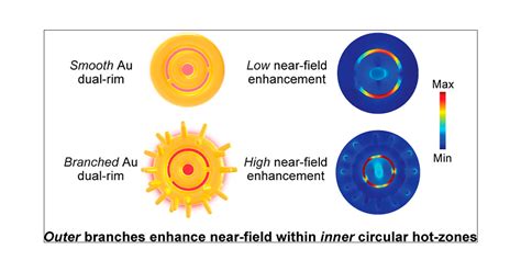 Plasmonic Nanoantenna Enhanced Near Field Focusing With Branched Gold