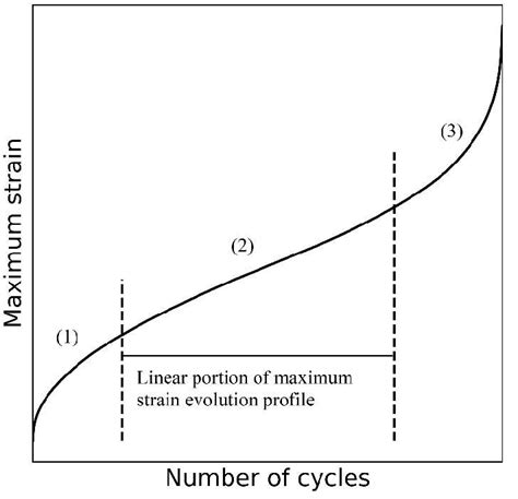 Three Phase S Curve Shape Of Strain Evolution Through The Lifespan Download Scientific Diagram