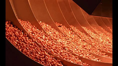 What Is Drying In Food Processing At Gerald Fernandez Blog