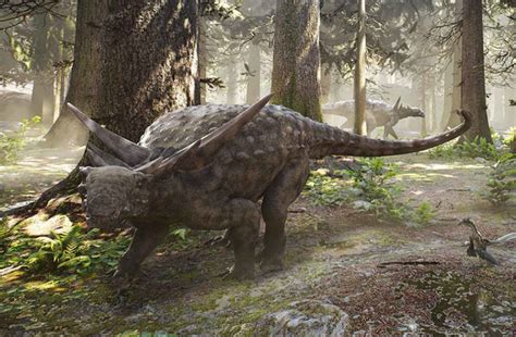 The Mummy Of Nodosaur Dinosaur Charismatic Planet