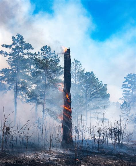 Fire And Smoke Object Detection Model By Fire