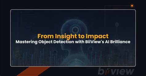 From Insight To Impact Mastering Object Detection With Biiviews Ai