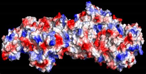 Gelsolin Esthetics Famous Proteins In Frames