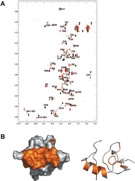 Mapping Of The Ubiquitin Conjugating Enzyme Binding Surface Of The K3
