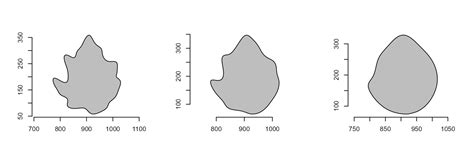 Analyzing Polygons With Pliman • Pliman