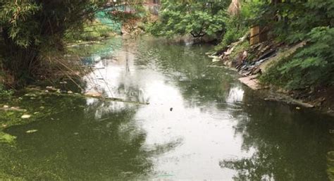 Bazaar Cv Canal Pollution Level · Hugging Face