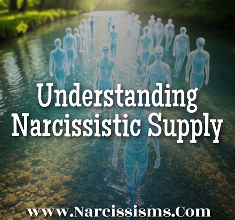 Understanding Narcissistic Supply - Narcissisms.Com