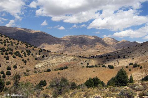 Salouk National Park Future4leopards Foundation