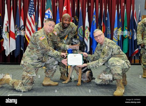 Mwd Roy Is Awarded An Army Commendation Medal By Lt Gen Theodore D