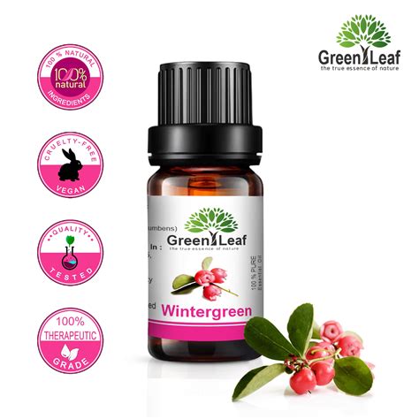 100 Pure Natural Wintergreen Essential Oil Green Leaf Oil