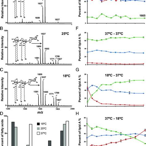 Characterization Of Temperature Regulated Structural Modifications Of Download Scientific