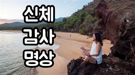 최상 컨디션 회복 명상 Youtube