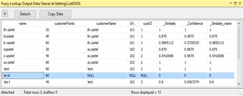 fuzzy transformation and fuzzy grouping in ssis