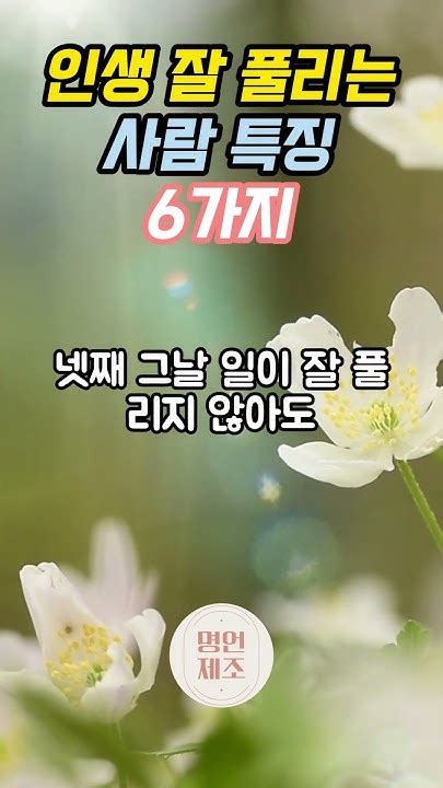 인생 잘 풀리는 사람 특징 6가지 오디오북 인간관계 조언 인생명언 처세 명언 동기부여 좋은글 명언 지혜