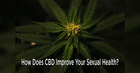 How Does CBD Improve Your Sexual Health