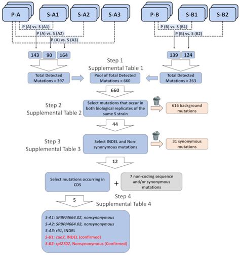 Analysis Of Genome Wide Sequencing Data To Identify Genetic Elements Download Scientific