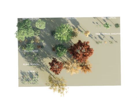 Collection Of 100 Tree Revit Models Thousands Of Free Cad Blocks