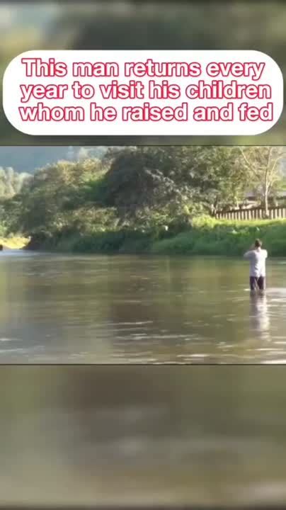 Ravi T On Linkedin ️