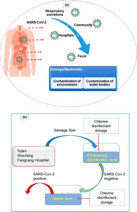 Figure 2 From Sars Cov 2 Detection And Inactivation In Water And