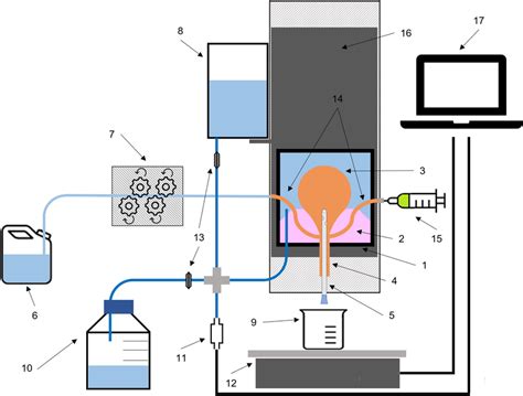 Schematic Representation Of The Ex Vivo Porcine Lut Model Setup 1