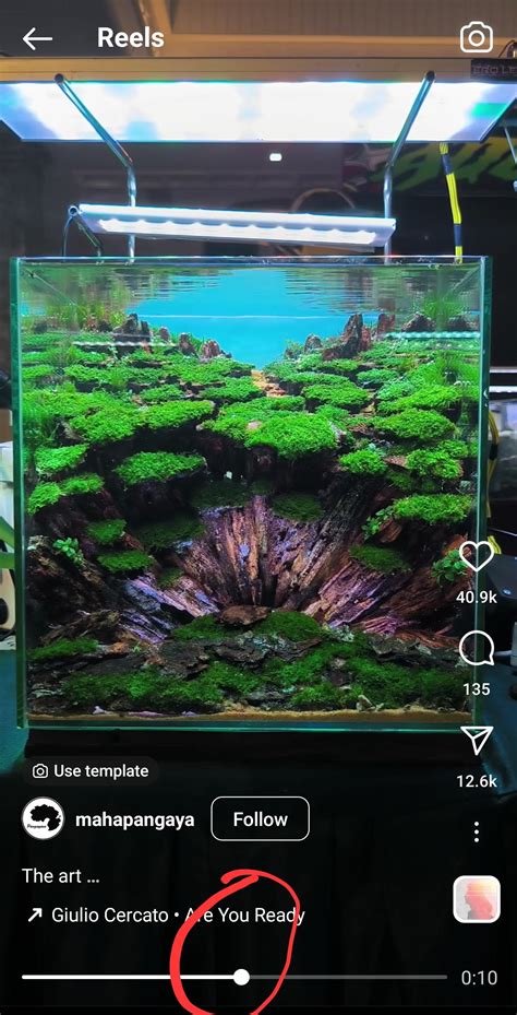 [question] Instander Video Scrubber R Instander