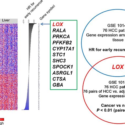 Correlation Between Each Gene And The Rate Of Early Recurrence Using
