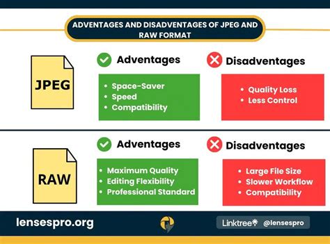 Understanding JPEG Vs RAW A Beginner S Guide 2024