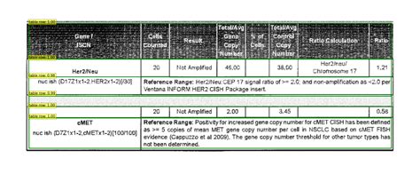 Colab Notebook Tsr Functional Analysis And Obtain Final Dataframe · Issue 84 · Microsofttable