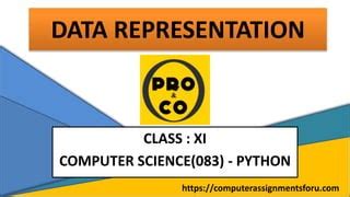 Data representation | PPTX | Computing | Technology & Computing
