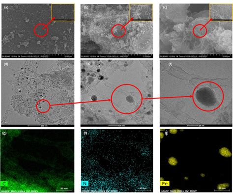 SEM Image Of A Fe C B Fe C N D C Fe C N M TEM Image Of Download Scientific Diagram